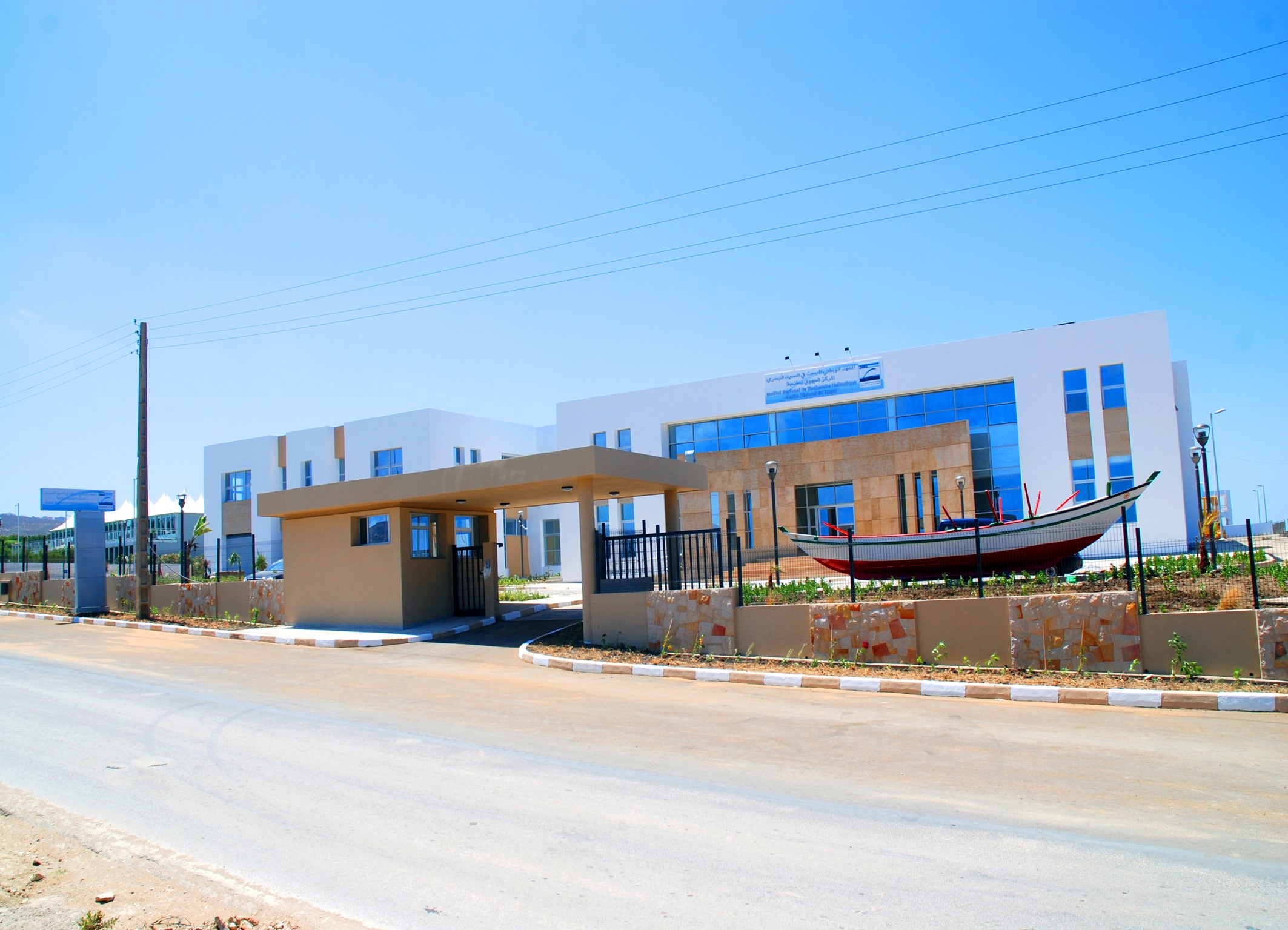 INRH: إحالة مستخدمة على "التأديب" بسبب رفضها تقييم وضعية شقائق البحر ...